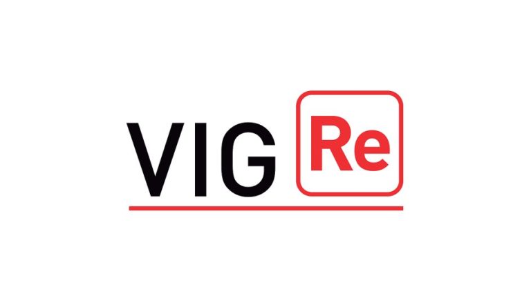 VIG Re reports successful year - Reinsurance News