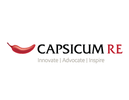Capsicum Re adds Shane Aldons to Motor & Casualty division ...