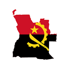 AngoRe to launch in 2019, expects to retain large share of risks ...