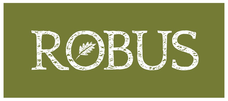 Robus PCC Captive Cell authorised by GFSC - Reinsurance News