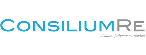 ConsiliumRe to strengthen LatAm ties with Miami expansion - Reinsurance ...