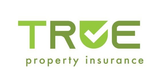 Orchid & Homesite set up new Florida insurer - Reinsurance News