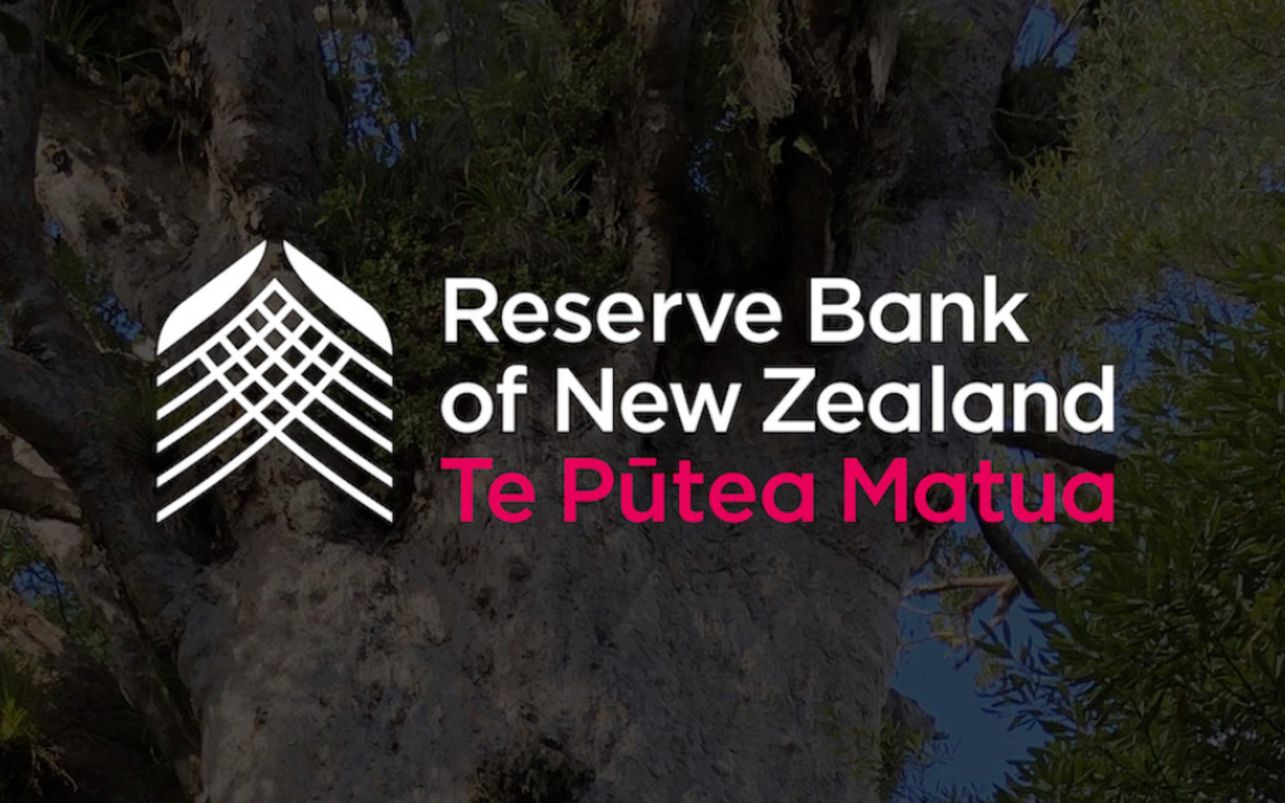 RBNZ stress test reveals resilience of New Zealand's life insurance ...