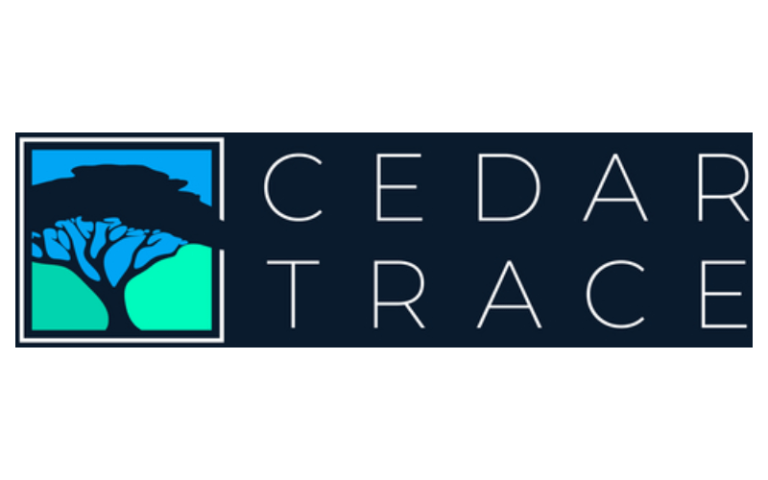 Cedar Trace appoints Chris Wilson as Managing Director of Capital ...